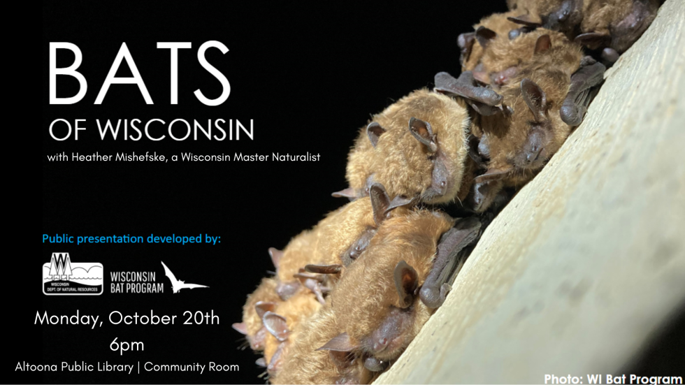 Bats of Wisconsin with Heather Mishefske, a Wisconsin Master Naturalist ...